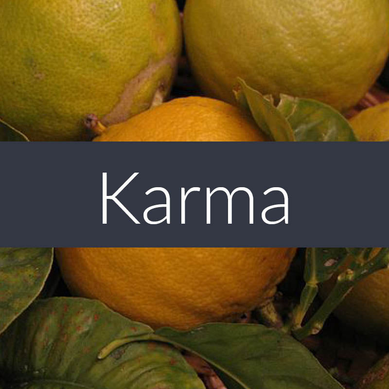 Karma Pure Essential Oil Blend - 10ml – Finesse Home